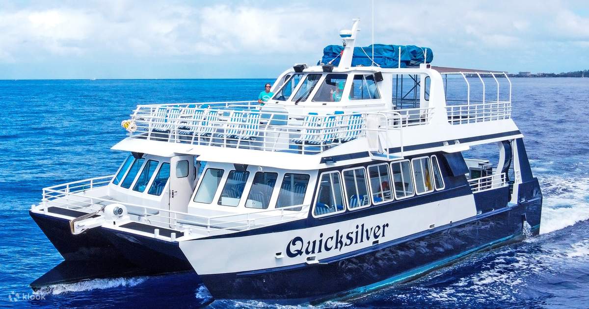 Trải nghiệm lặn biển Turtle Town từ Cảng Maalaea của Quicksilver - Klook Việt Nam